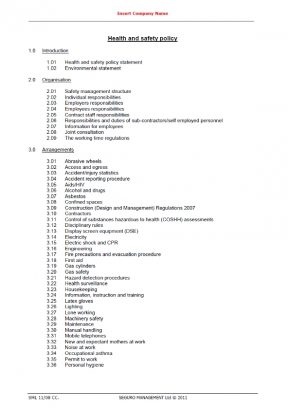 HSG65 Safety Management System | Seguro